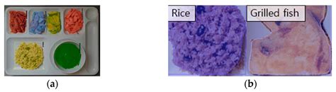 Food Classification And Meal Intake Amount Estimation Through Deep Learning