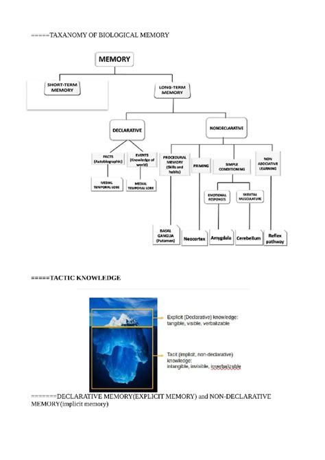Quiz 2 Declarative Memory Concepts And Brain Structures Studocu