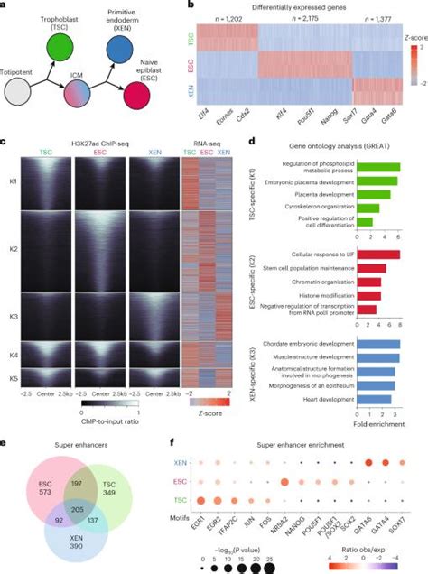 3d Enhancerpromoter Networks Provide Predictive Features For Gene