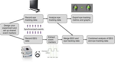 Combining Eeg And Eye Tracking A Workflow For Your Lab Experiment