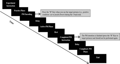 Illustration Of The Experimental Procedure Pm Prospective Memory