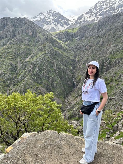 elham haji hashemi on linkedin نادر وهاب آقایی لینکدین فرازمینیها