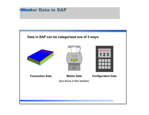 62729459 Sap Mm Master Data