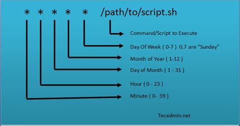 cron time format a comprehensive guide for effective scheduling