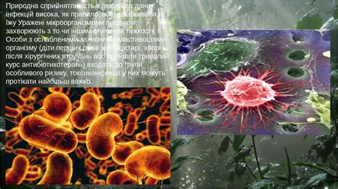 Техногенний вплив на навколишнє природне середовище Інші методичні матеріали БЖД