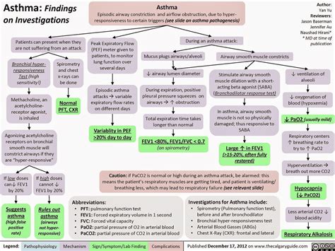 Asthma Pathophysiology And Clinical Signs Asthma Treatment