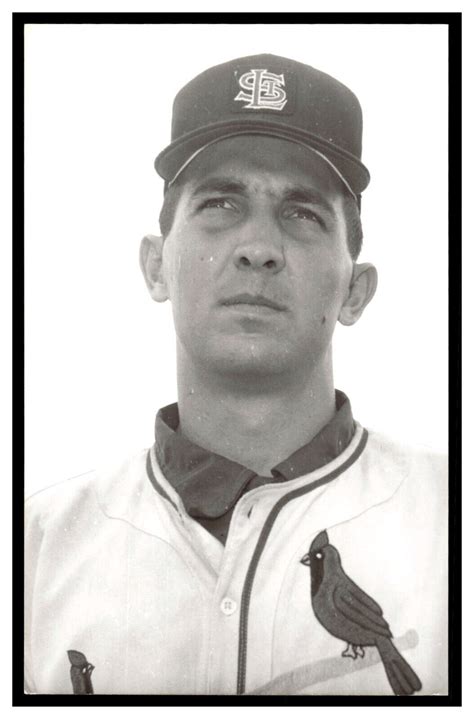 Don Dennis St Louis Cardinals Vintage Baseball Postcard Bl1 Ebay