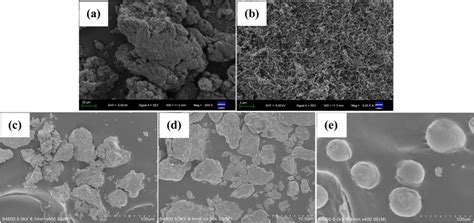 The Morphologies And Sizes Of Raw Powders A Low Power Sem Morphology