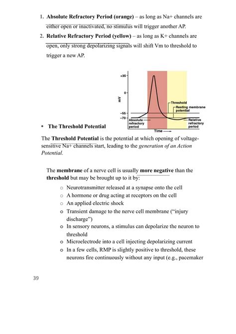Fundamental Neuroscience Lecture Notes Mmed2933 Fundamental
