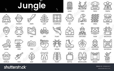 Set Outline Jungle Icons Minimalist Thin Stock Vector Royalty Free 2206681813 Shutterstock