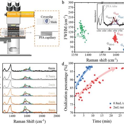 A Schematic Of The Experiment Setup For In Situ Raman Measurement On Download Scientific