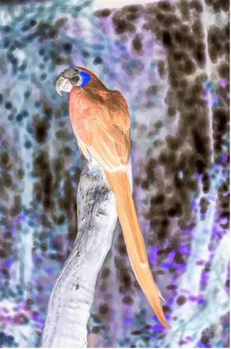 Omar Harroud On Linkedin Css Webdev Techtricks