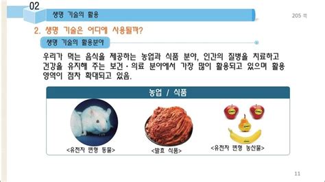 중학교 기술 2 Ⅵ 1 2 생명 기술의 활용 Youtube