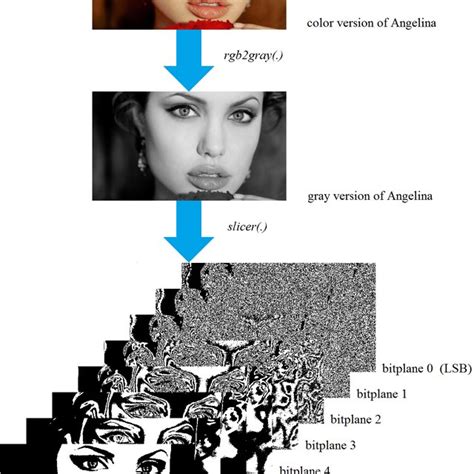 Color To Gray Conversion Slicing And Obtaining Of Bitplanes And Msb Download Scientific