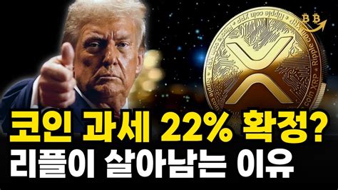 리플코인 분석 코인 과세 확정 유예 리플이 살아남아 폭등하는 이유 알려드립니다 트럼프 Sec 게리 겐슬러 Xrp 다음으로 상승할 밈코인 리플 목표가 리플 전망 비트