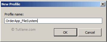Asp Net Mvc Publish With File System Tutlane