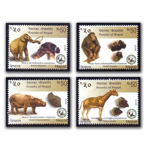 2013 Fossils Of Nepal 4v Stamp