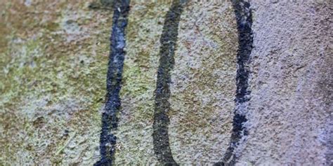 10 Common Mistakes When Learning To Code And How To Fix Them Learning Methods Learning Goals