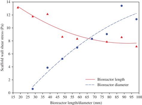 Influence Of Bioreactor Dimensions On The Scaffold Shear Stress