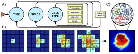 Algorithm A Basic Algorithm For Implementation Purposes Download Scientific Diagram