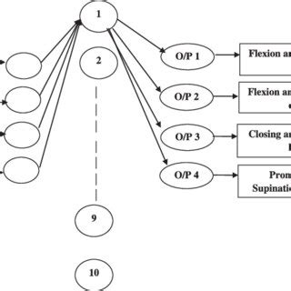 Signal Processing Block Diagram Download Scientific Diagram
