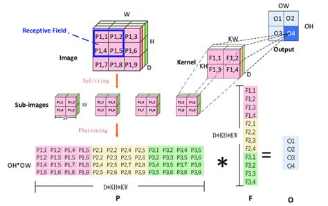 illustration of convolution operations when one kernel within a