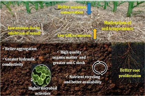 Benefits Of Crop Residue Conservation And Degradation For Enhancing Download Scientific Diagram