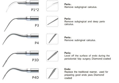 Piezo Perio Scaling Tip Kit Select Type For Ems Or Satelecnsk