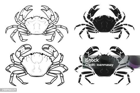 게 일러스트 세트입니다 게 해산물 라벨 간판 포스터 전단지를 위한 디자인 요소 벡터 일러스트 레이 션 갈고리 발톱에 대한 스톡 벡터 아트 및 기타 이미지 Istock