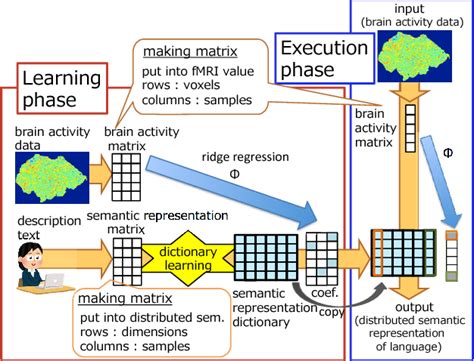 Figure 1 From Semantic Representation In The Cerebral Cortex With