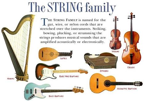 school workz string instrument