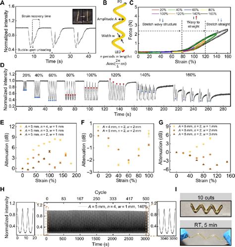Wavy Sensor Design To Improve Elasticity For Dynamic Strain Sensing Download Scientific
