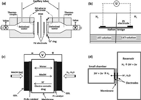 Schematic Of The Cells For Electro Osmotic Drag Measurement A