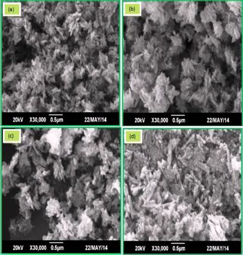 Sem Micrographs Of A 1 B 3 C 5 And D 7 Zn Doped Cuo Download Scientific Diagram