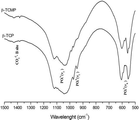 Details Of Ft Ir Spectra Of β Tcmp And β Tcp Granules Download