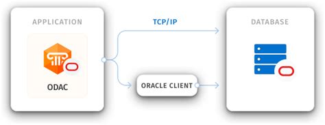 Oracle Data Access Components R Data Technology