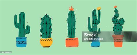 손으로 그린 화분에 심은 선인장과 다육 식물을 다채로운 낙서 스타일로 모아 다양한 모양 크기 활짝 핀 꽃을 특징으로 하여 가정