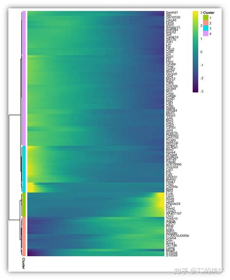 Monocle2拟时基因富集分析 知乎