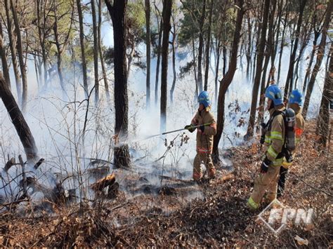 강화소방서 청명ㆍ한식 기간 산불 예방 특별경계근무 돌입fpn Daily