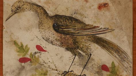 Le Dessin Une Exploration De L Artiste Nouvelles Du Monde