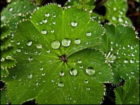 Применение технологии интерактивного обучения на уроках физики презентация онлайн