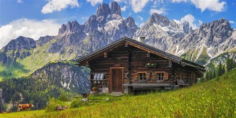 Escaping The Digital Rat Race For A Simple Life Blaze Media