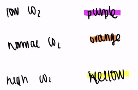 Bio For Multiple Choice Flashcards Quizlet