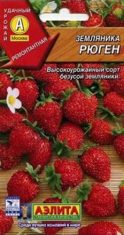 Земляника садовая «Рюген»| Семена садовой земляники купить