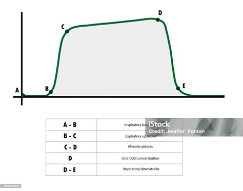 Capnography Waveform Phases Description Of Each Phase From Capnography Waveform Normal Curve