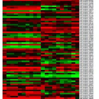 Clustered Heatmap For The Top 100 Differentially Expressed CircRNAs
