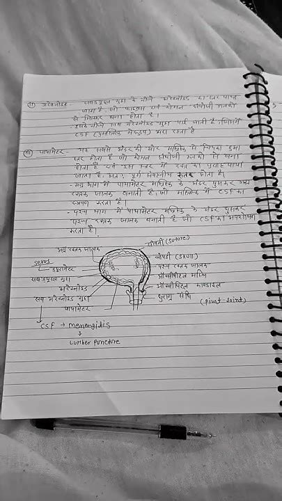 science shorts youtube