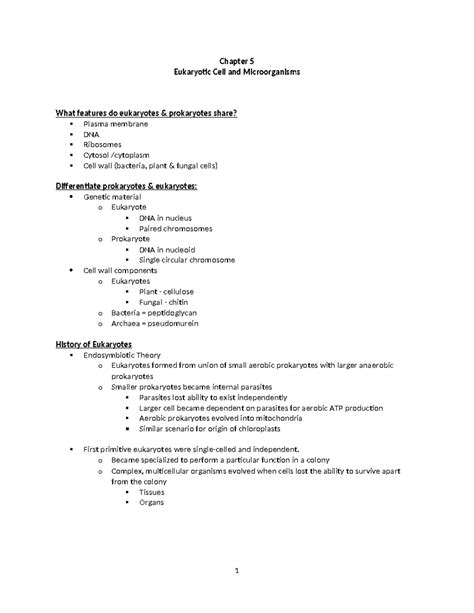 Chapter The Organs Of The Male Reproductive System Chapter Eukaryotic Cell And Studocu