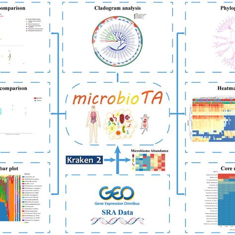 Overview Of Microbiota Raw Rna Sequencing Data Were Collected From The