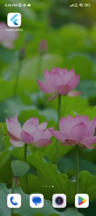 Avni Prajapati On Linkedin Flutter Dart Art Matrixeffect